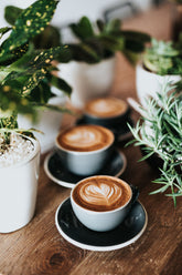 Bean & Barrel – Bean & Barrel